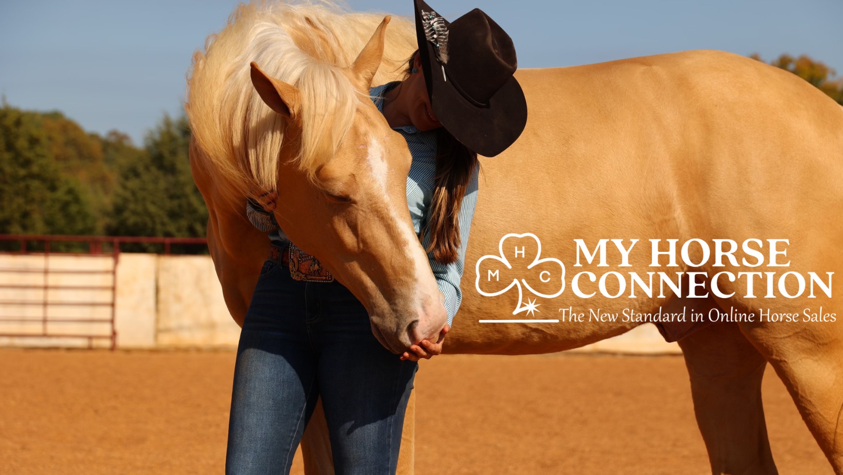 Home - My Horse Connection